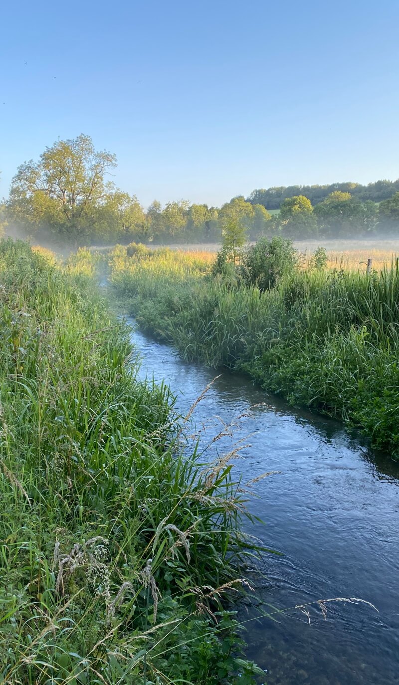 Management Advice | Chilterns Chalk Stream Project