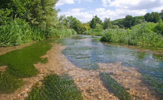 Chalk Streams | Protecting the Chilterns' globally rare chalk streams ...