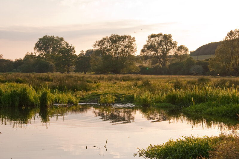 Update on River Chess Smarter Water Catchment | Chilterns Chalk Stream ...