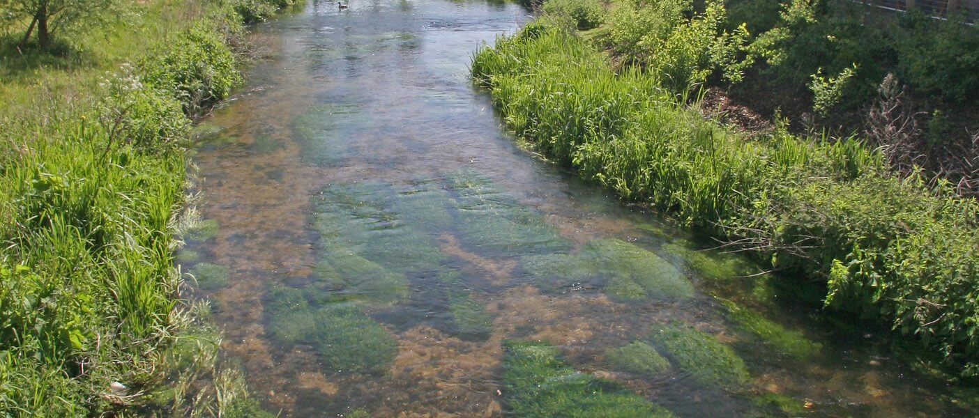 Chilterns Streams | Chilterns Chalk Stream Project
