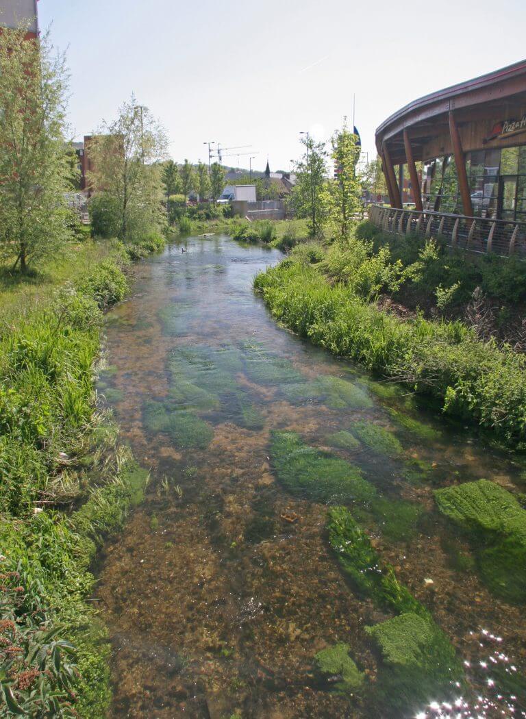 Chilterns Streams | Chilterns Chalk Stream Project