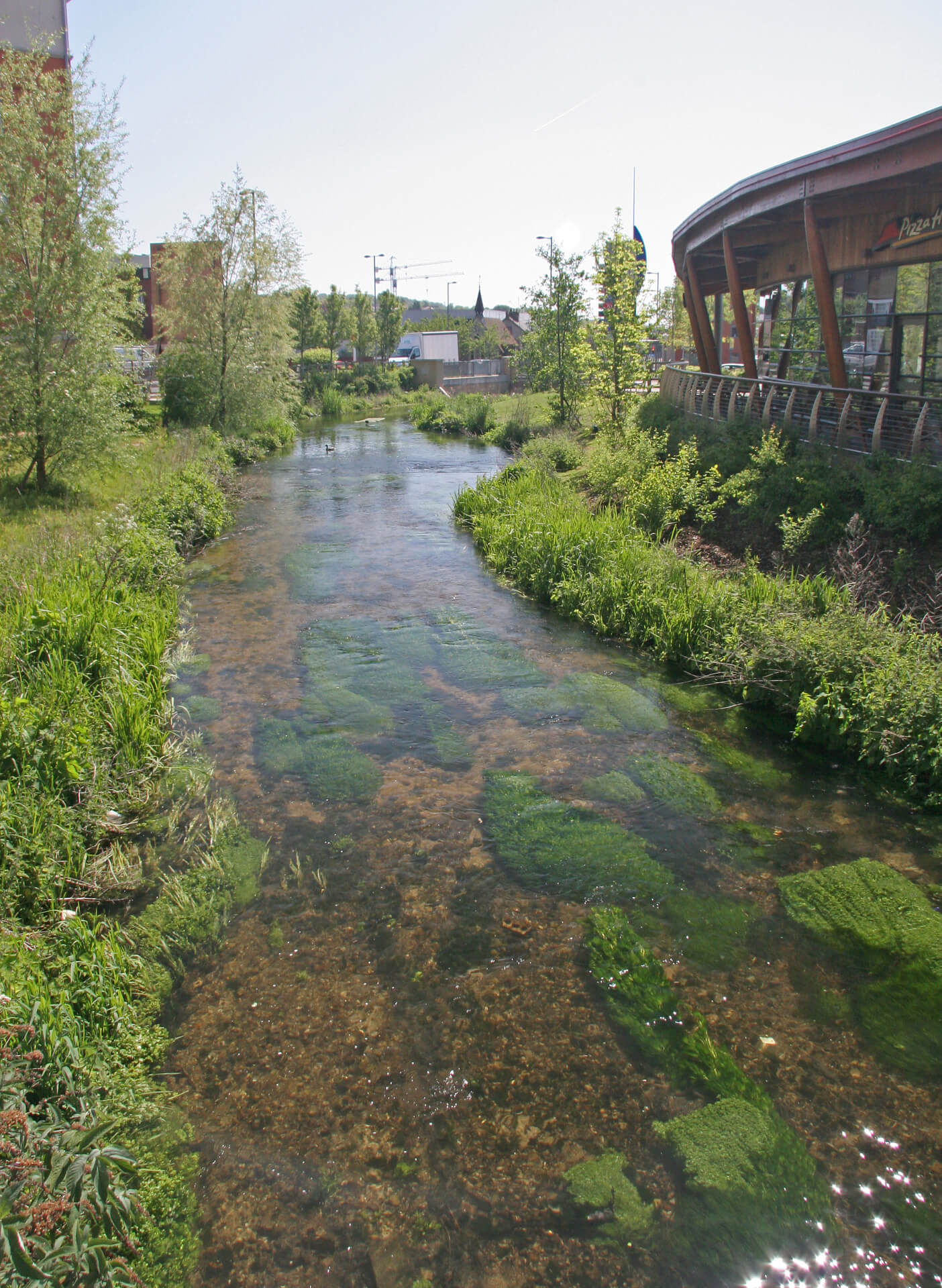 Chalk Streams Planning Guidance | Chilterns Chalk Stream Project