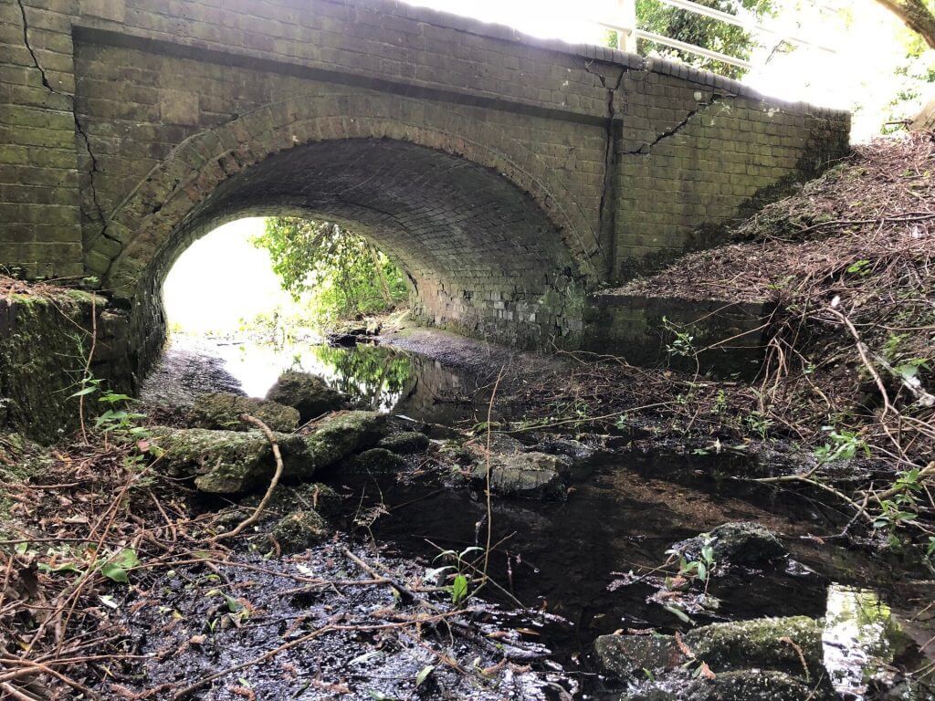 Research | Chilterns Chalk Stream Project