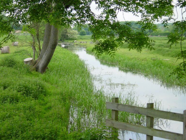Chilterns Streams | Chilterns Chalk Stream Project