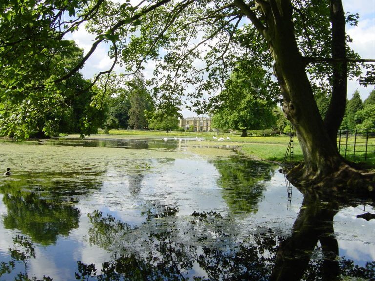 Chilterns Streams | Chilterns Chalk Stream Project