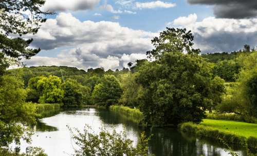 Chilterns Chalk Stream Project | Protecting the Chilterns' globally ...