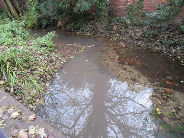 Citizen Science | Chilterns Chalk Stream Project