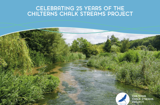 Our Work | Chalk Streams