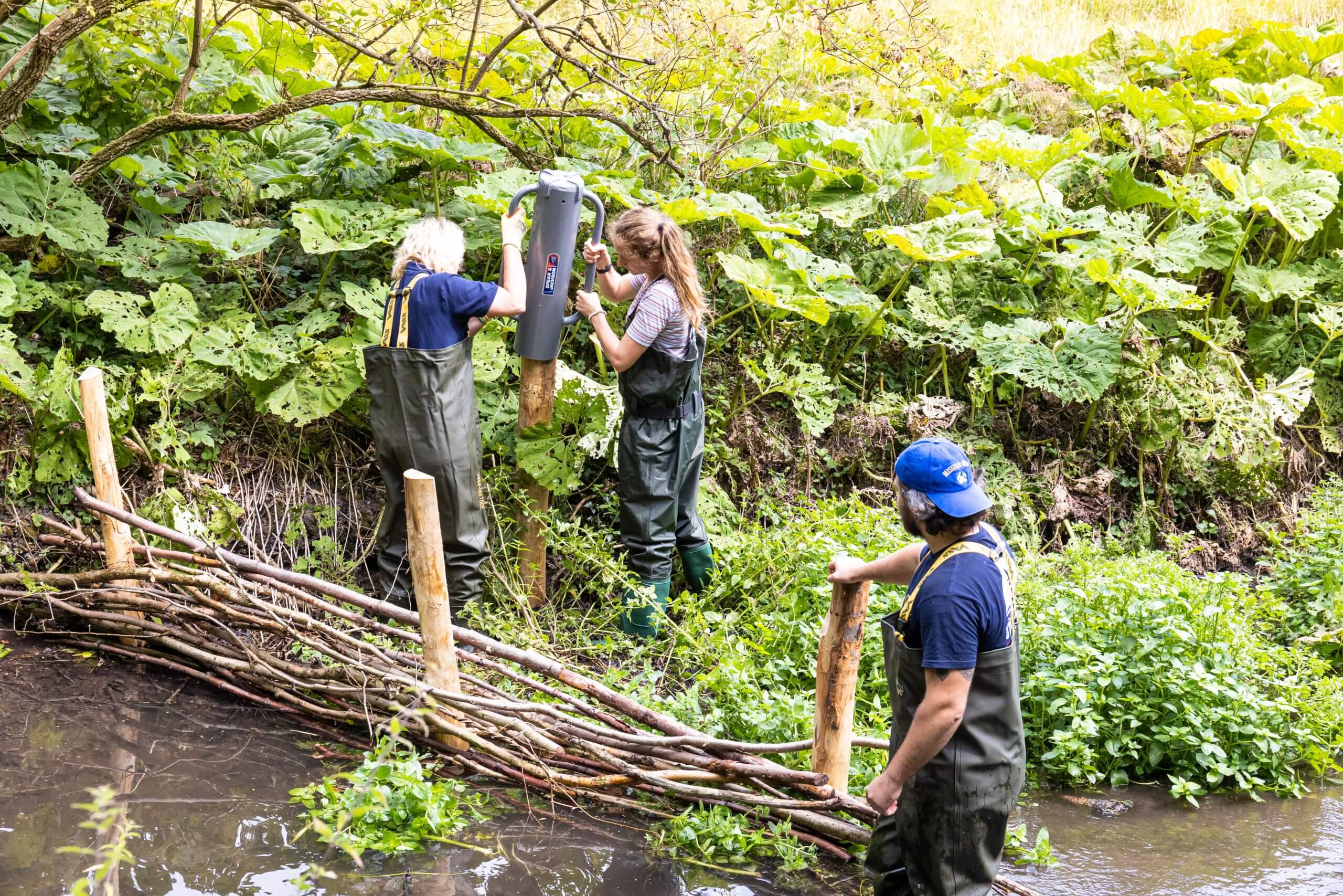 Chalk Streams | Protecting the Chilterns' globally rare chalk streams ...