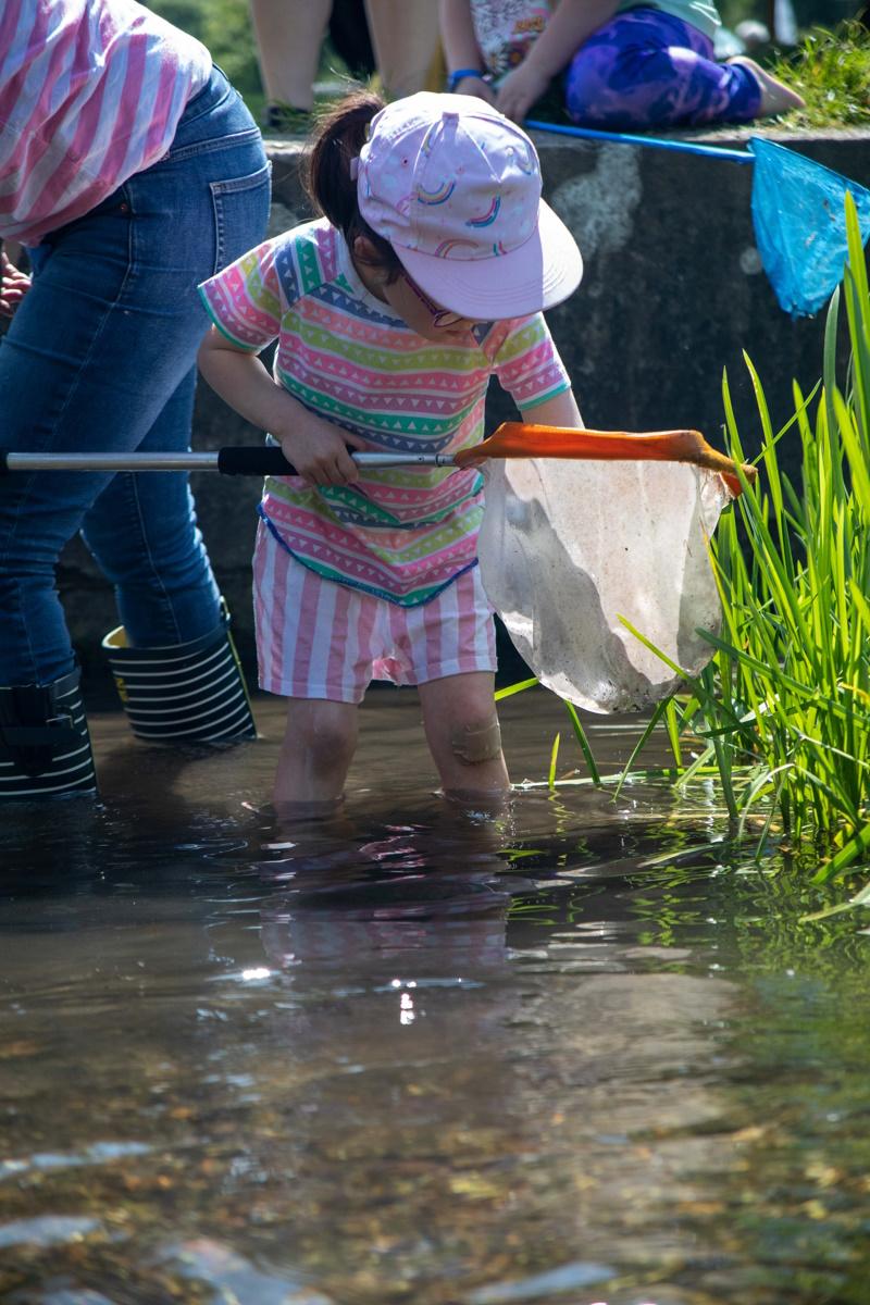 Family Stream Dipping 25/07/2023 | Chilterns Chalk Stream Project