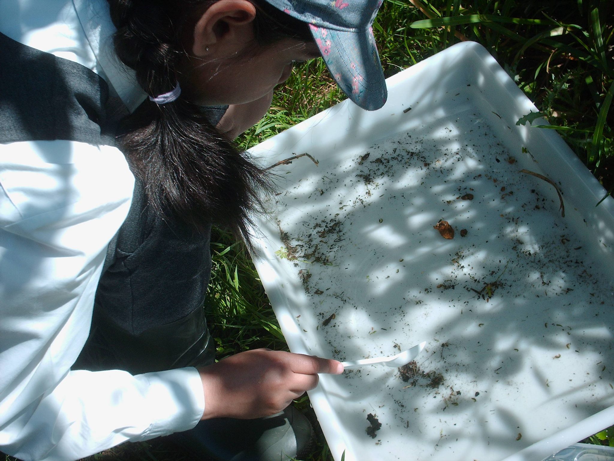 Family Stream Dipping 25/07/2023 | Chilterns Chalk Stream Project