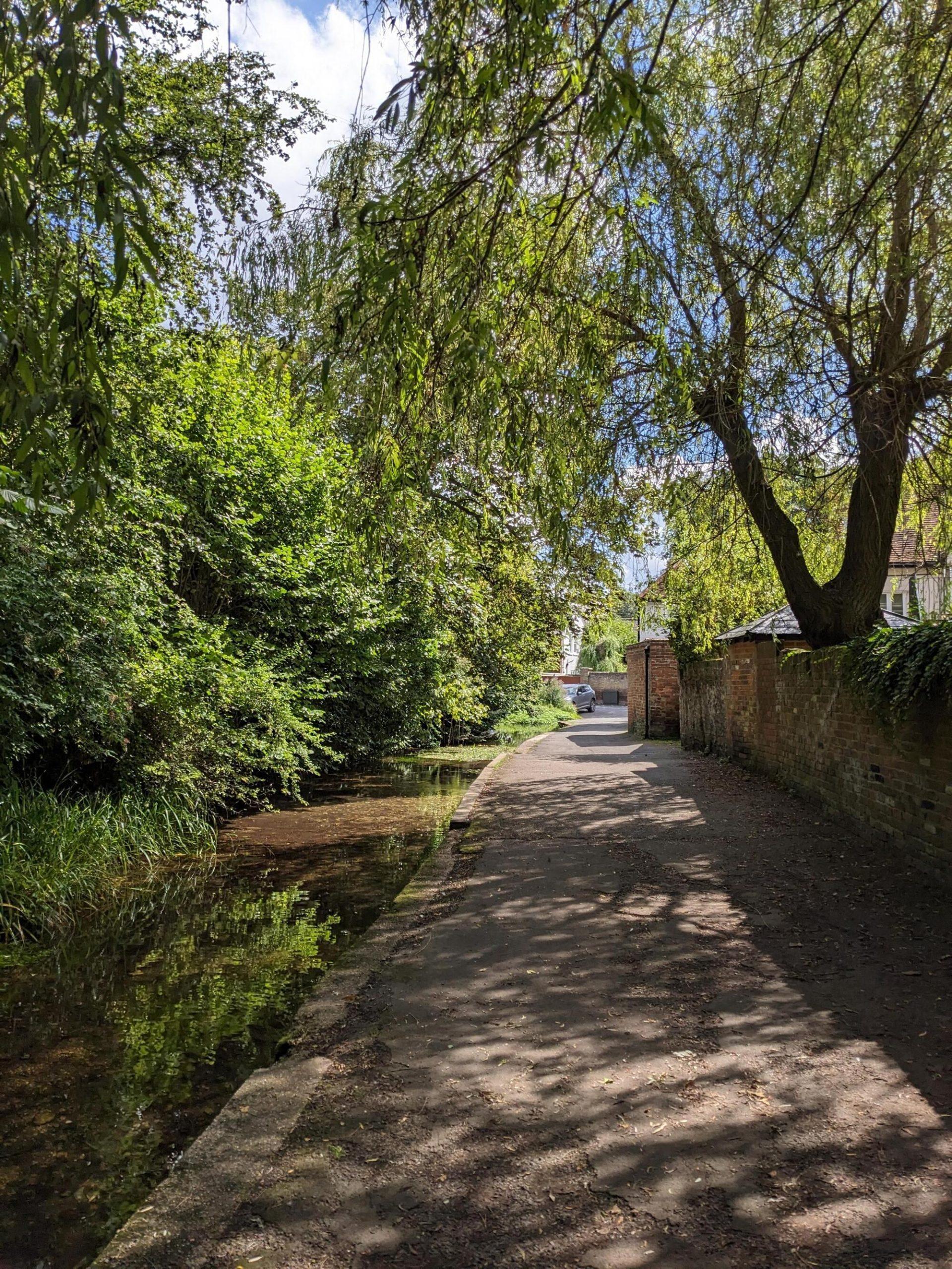 Love Exploring? Try our new guided family trail | Chilterns Chalk ...