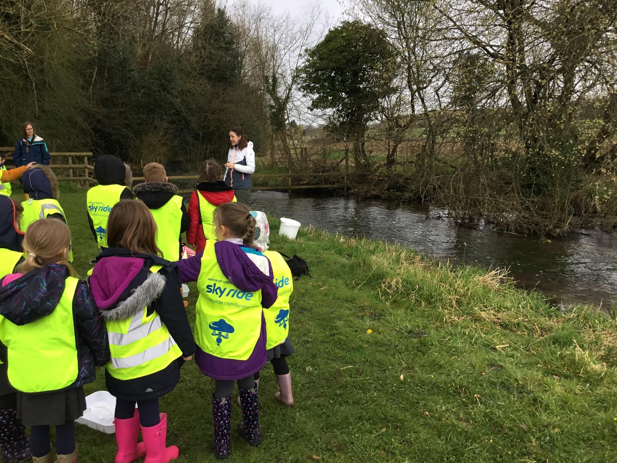 Primary | Chilterns Chalk Stream Project