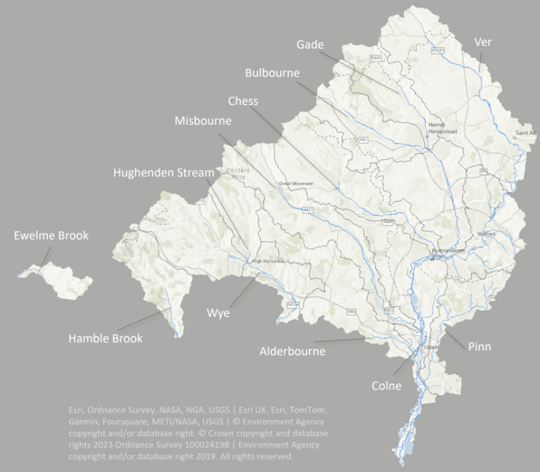 Riverfly | Chilterns Chalk Stream Project