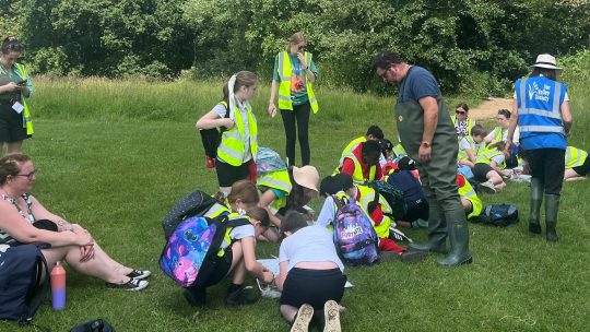 Chalk Streams | Protecting the Chilterns' globally rare chalk streams ...