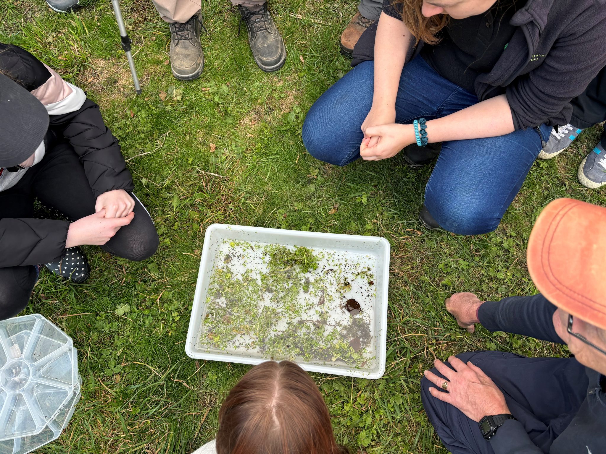 Riverfly monitoring: Guided walk and survey of the River Bulbourne ...