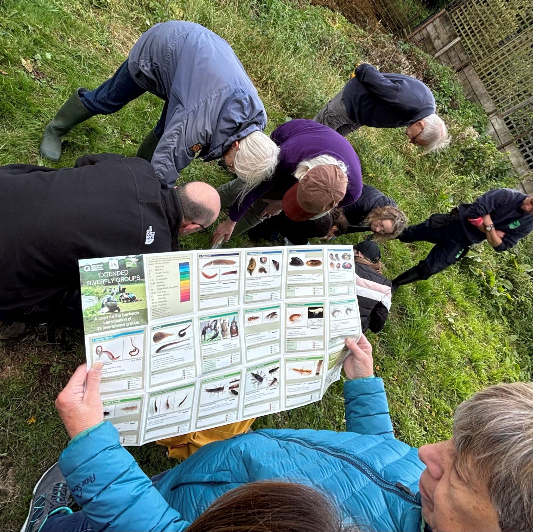 Riverfly survey on the River Bulbourne | Chilterns Chalk Stream Project