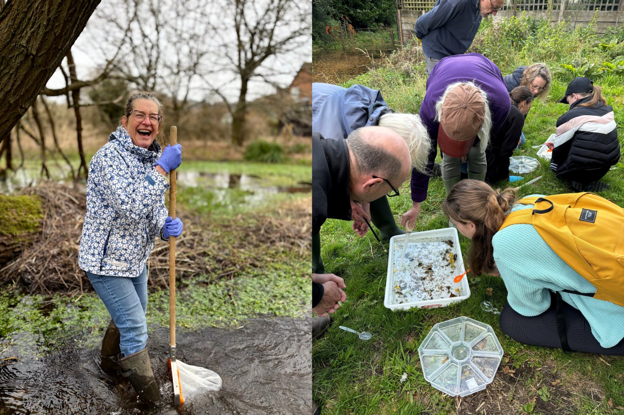 Riverfly survey on the River Bulbourne | Chilterns Chalk Stream Project