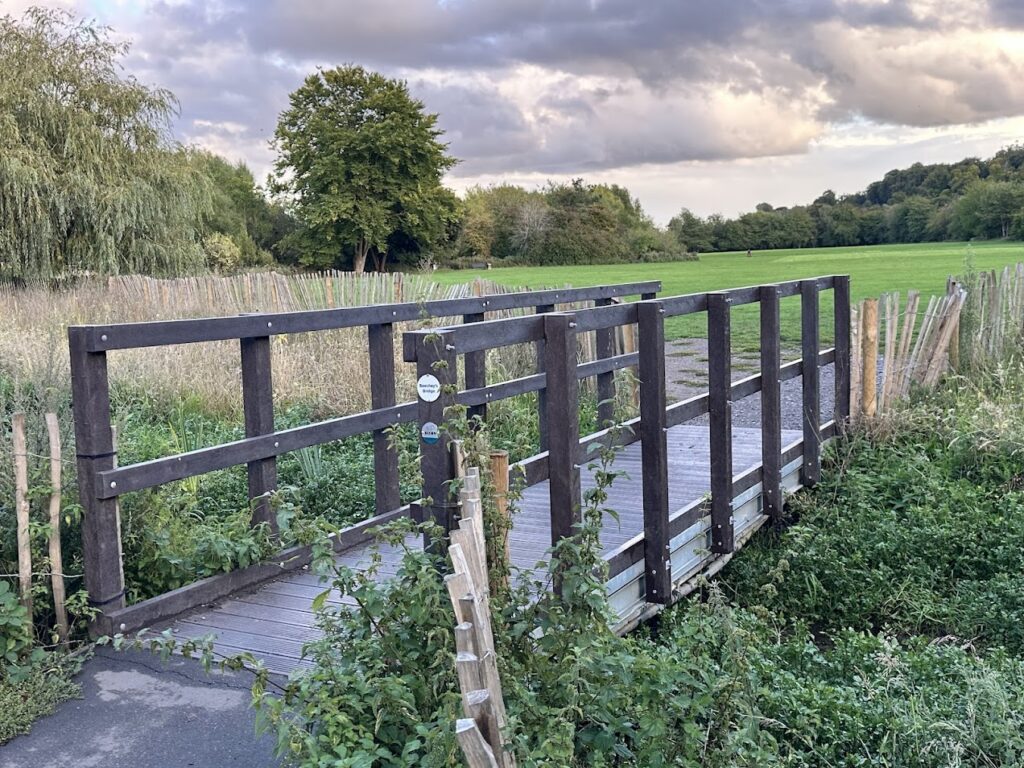 Chesham Moor river restoration | Chilterns Chalk Stream Project